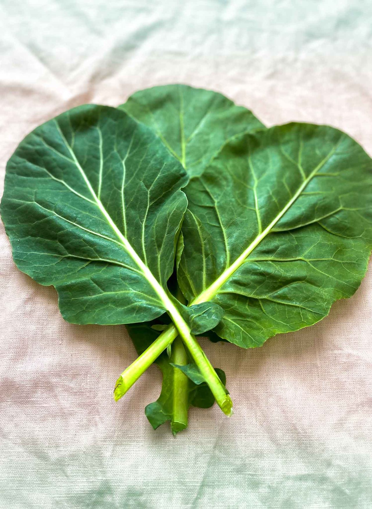 Growing and preparing collard greens - Basil Food Journal