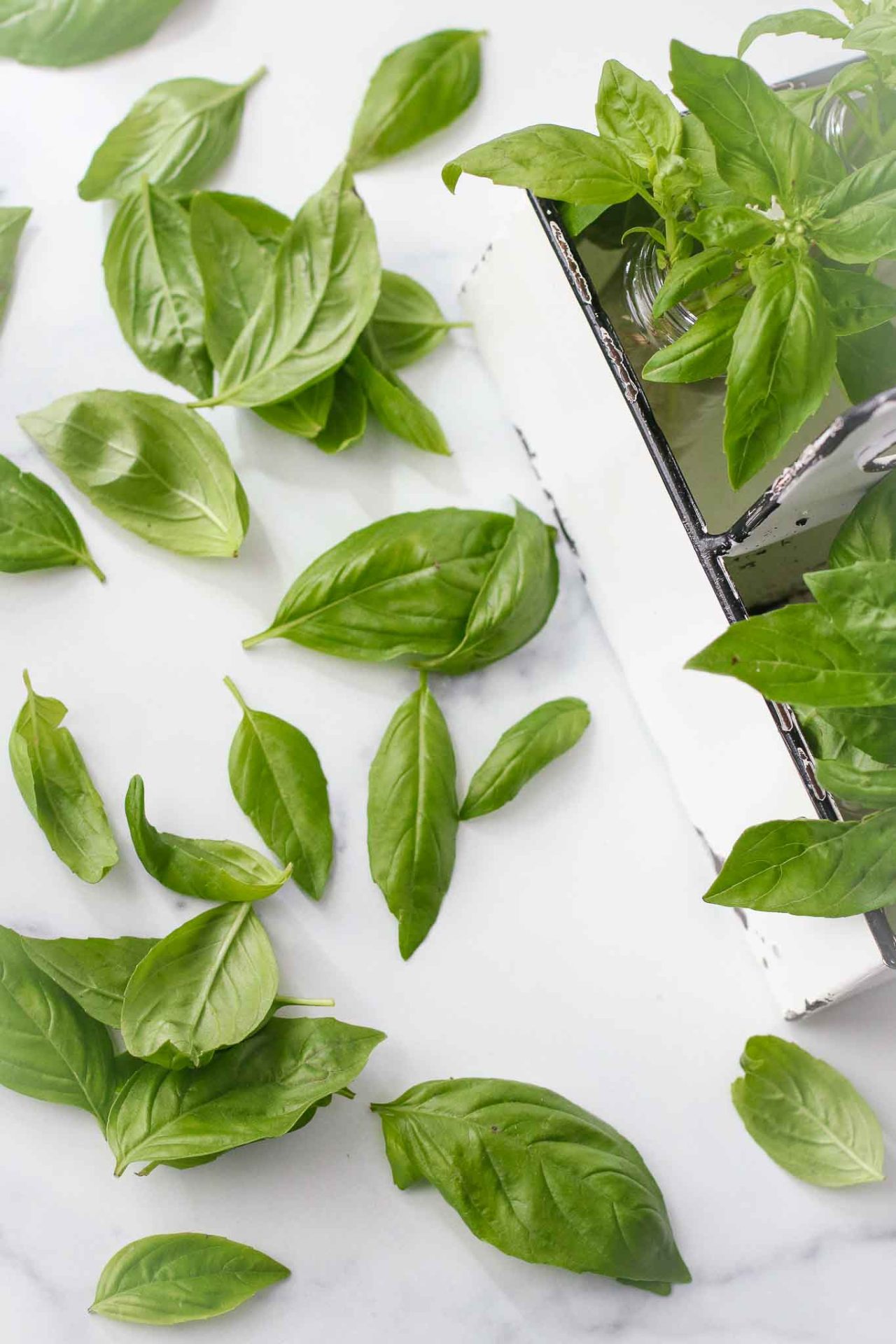 How to Grow and Prepare Basil - Basil Food Journal