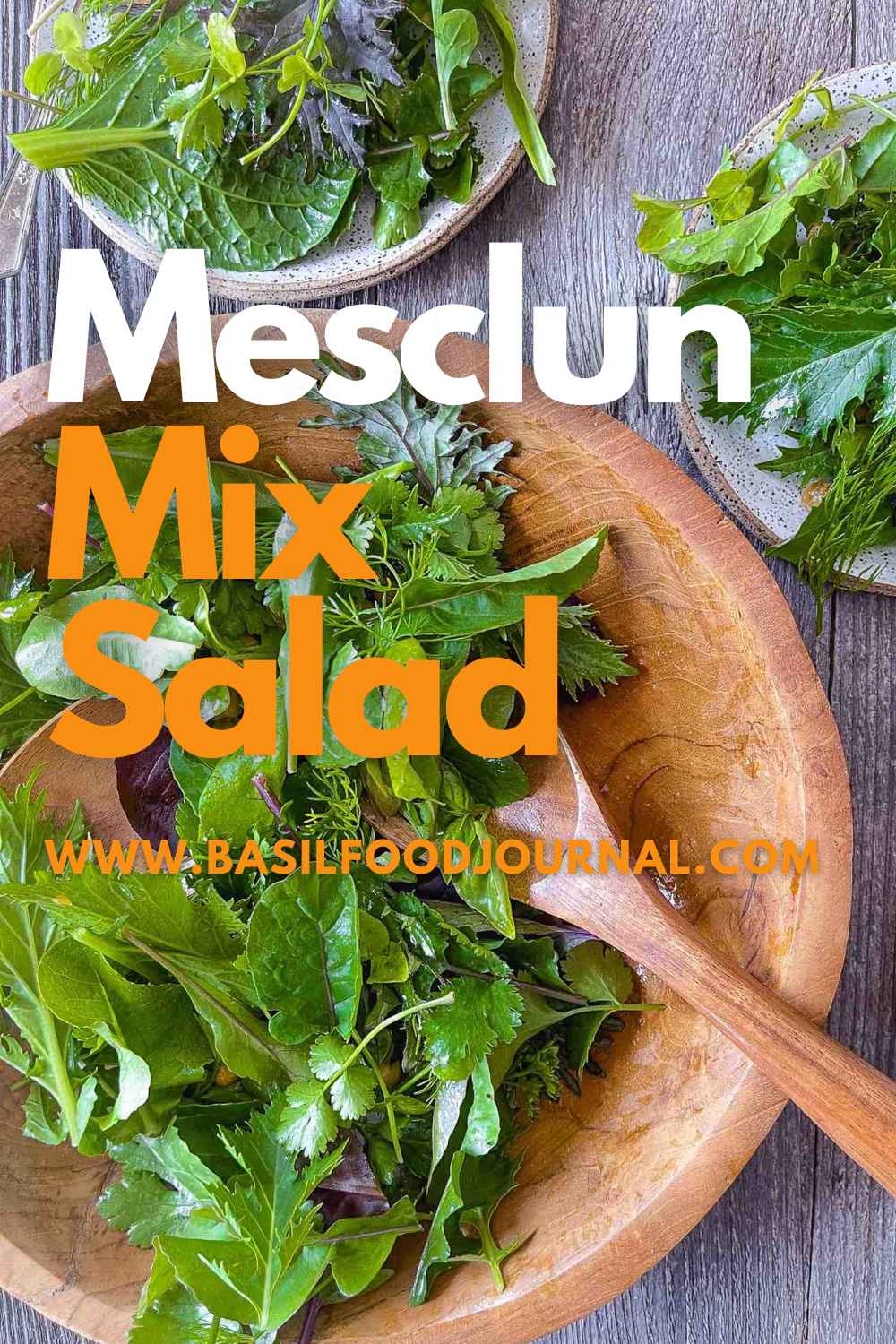 Tender Mesclun Mix Salad & Roasted Chickpeas - Basil Food Journal