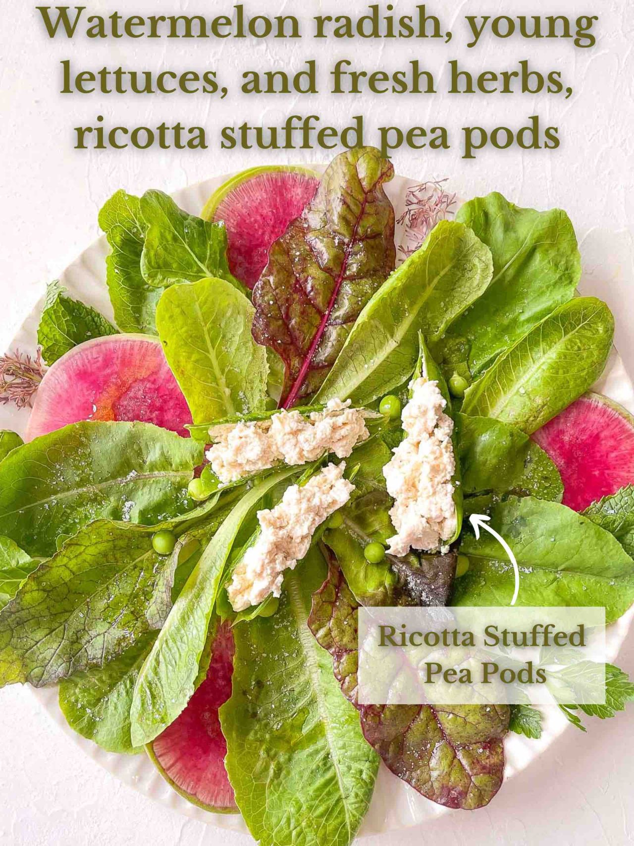 Growing and Preparing Watermelon Radish - Basil Food Journal